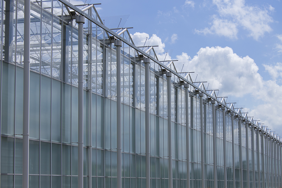 Technologies against weather in Ukrainian greenhouse development