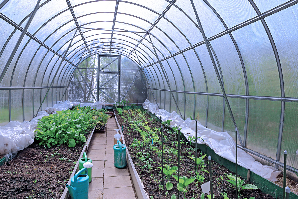 Sinop governor distributed 100.000 usd worth of greenhouse nylon to ...