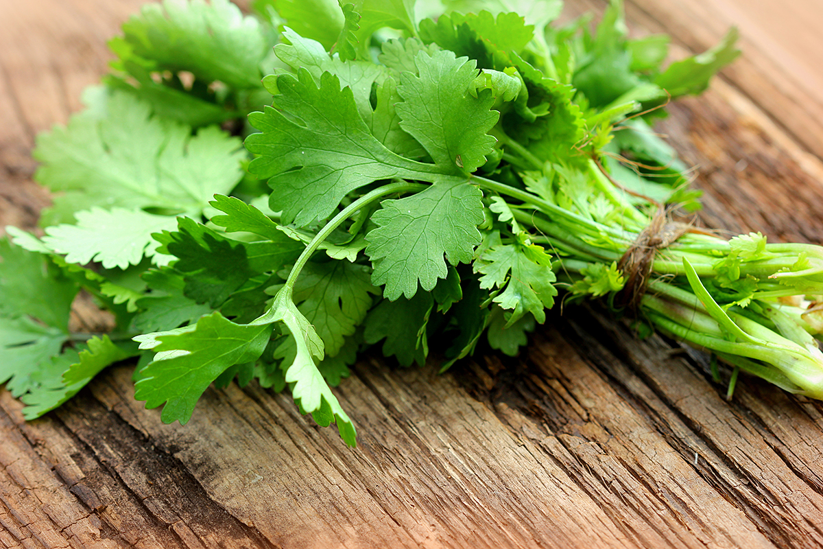 Peru is the second-largest exporter of herbs and spices in Latin ...