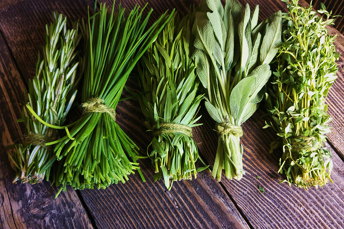 Survey reveals basil, pepper, and garlic as Australia's top herbs and ...