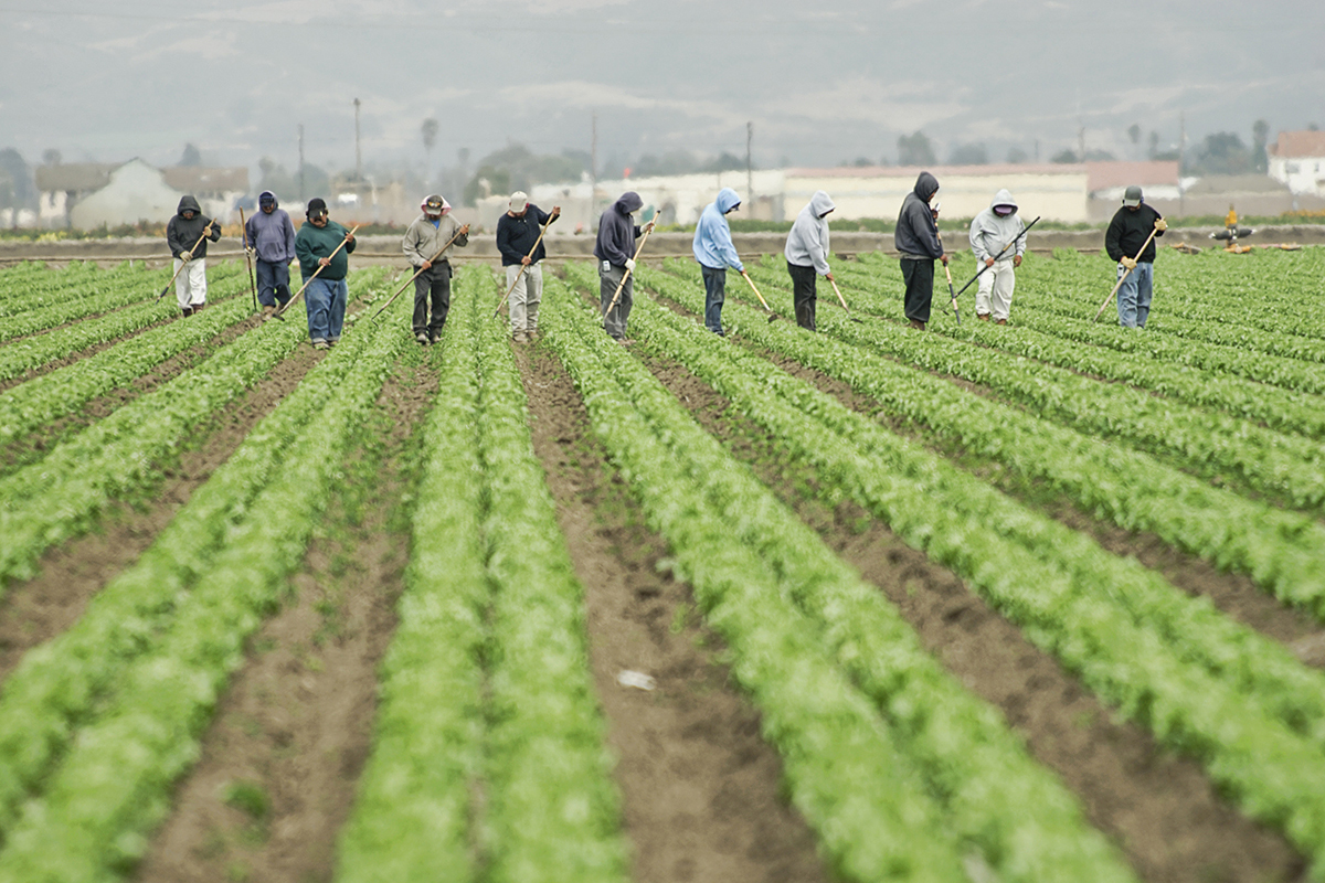 Minimum wages in Australia to rise 5.97% from July 2026