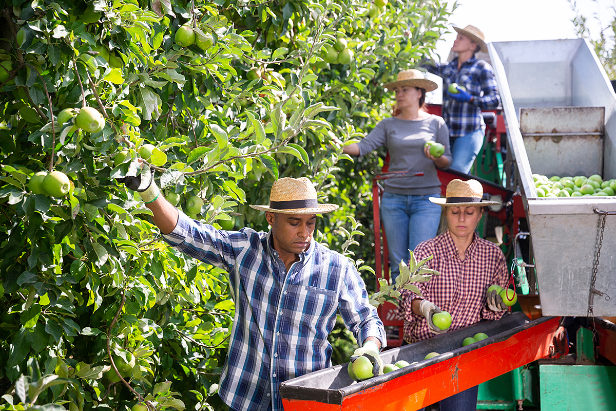 U.S. farm wage increases drive higher produce imports