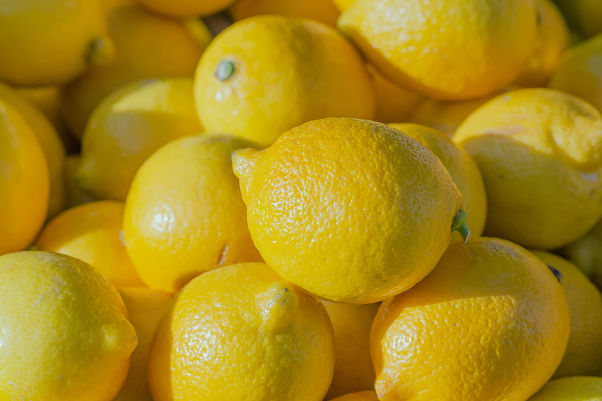 Uzbekistan's lemon imports reach 14,800 tons in 2024