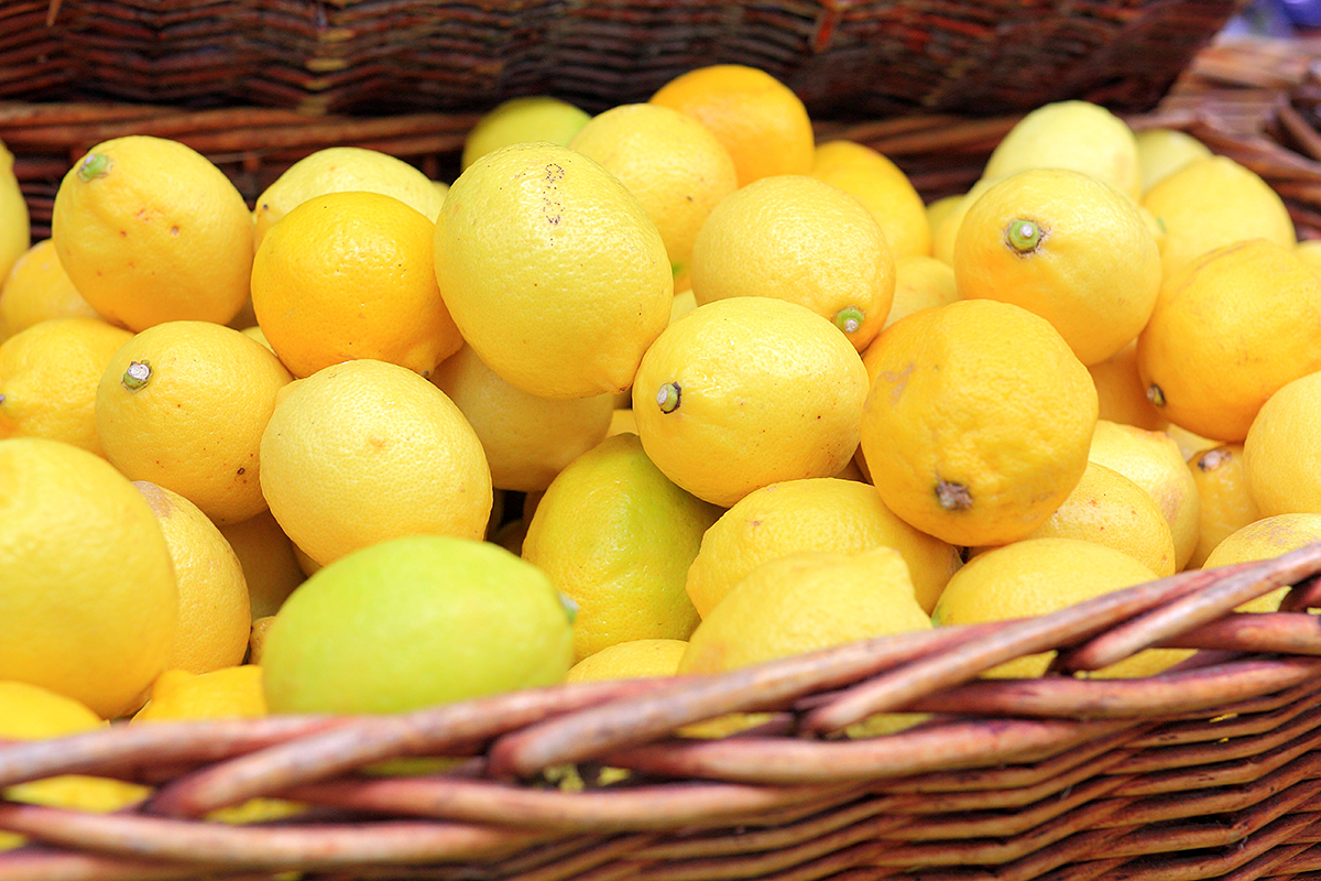 Boost in lemon farming observed in Karnataka's Vijayapura district