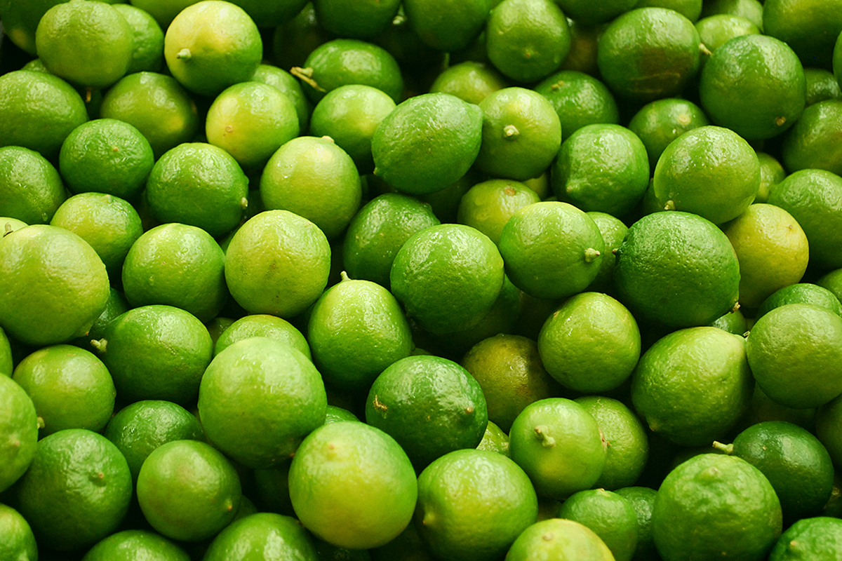 "El cultivo del limón ha sido muy golpeado en Colima en los últimos años"