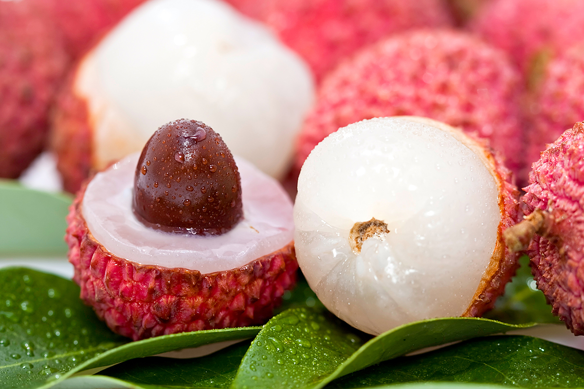 Thailand forecasts strong 2025 fruit harvest led by durian and lychee