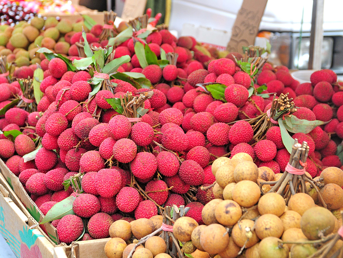 China’s lychee growers face oversupply and price drop