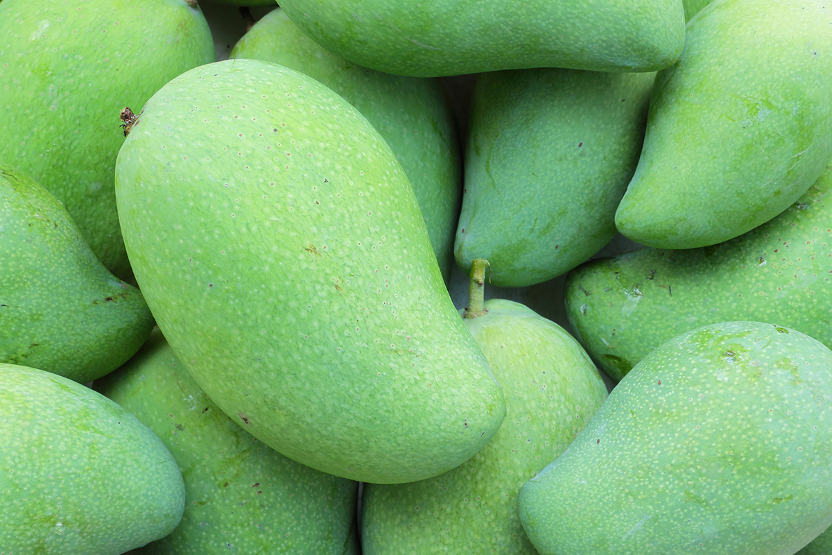 Fazli mango trade targets $128 million boost