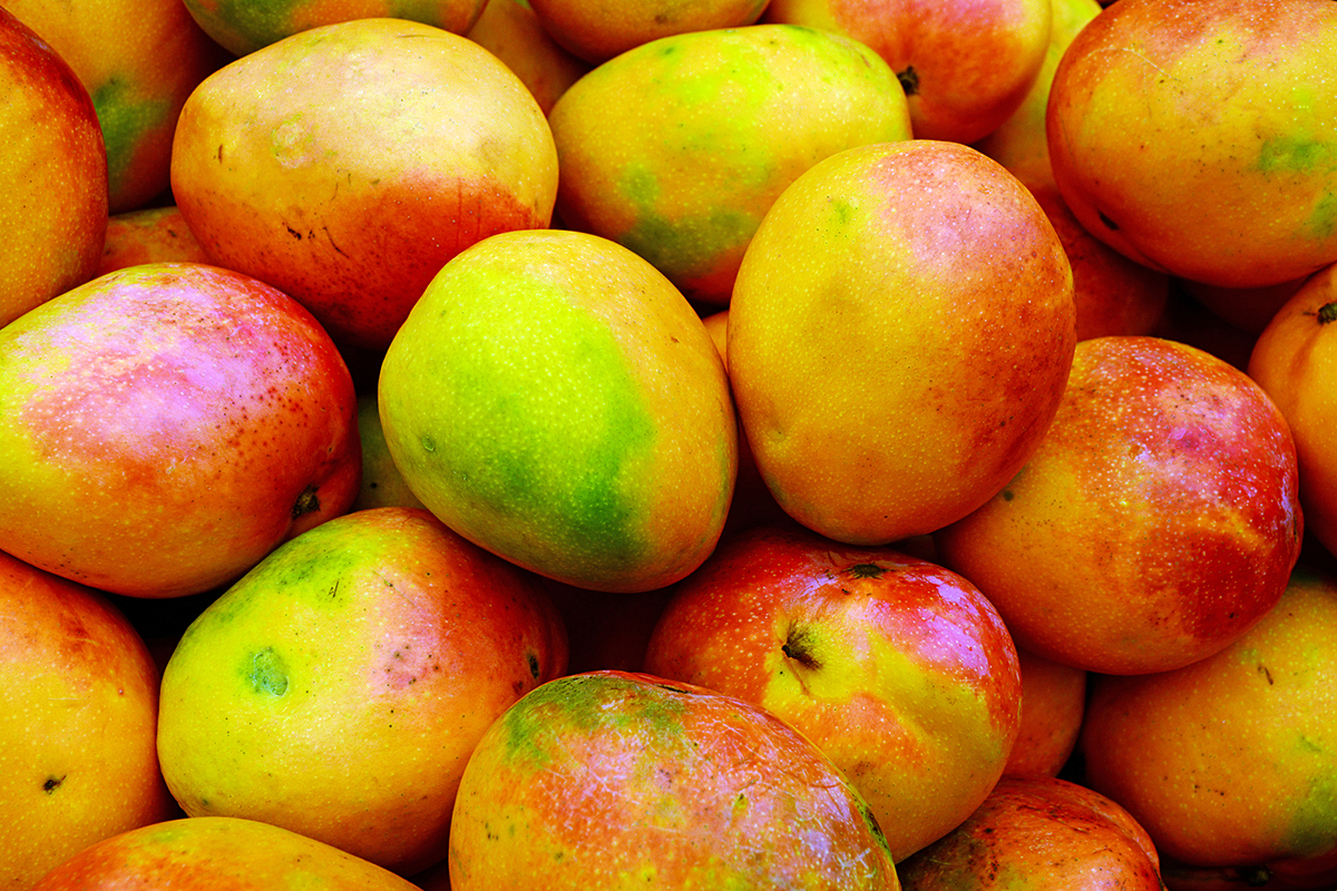 Nigeria's mango production below one million tonnes