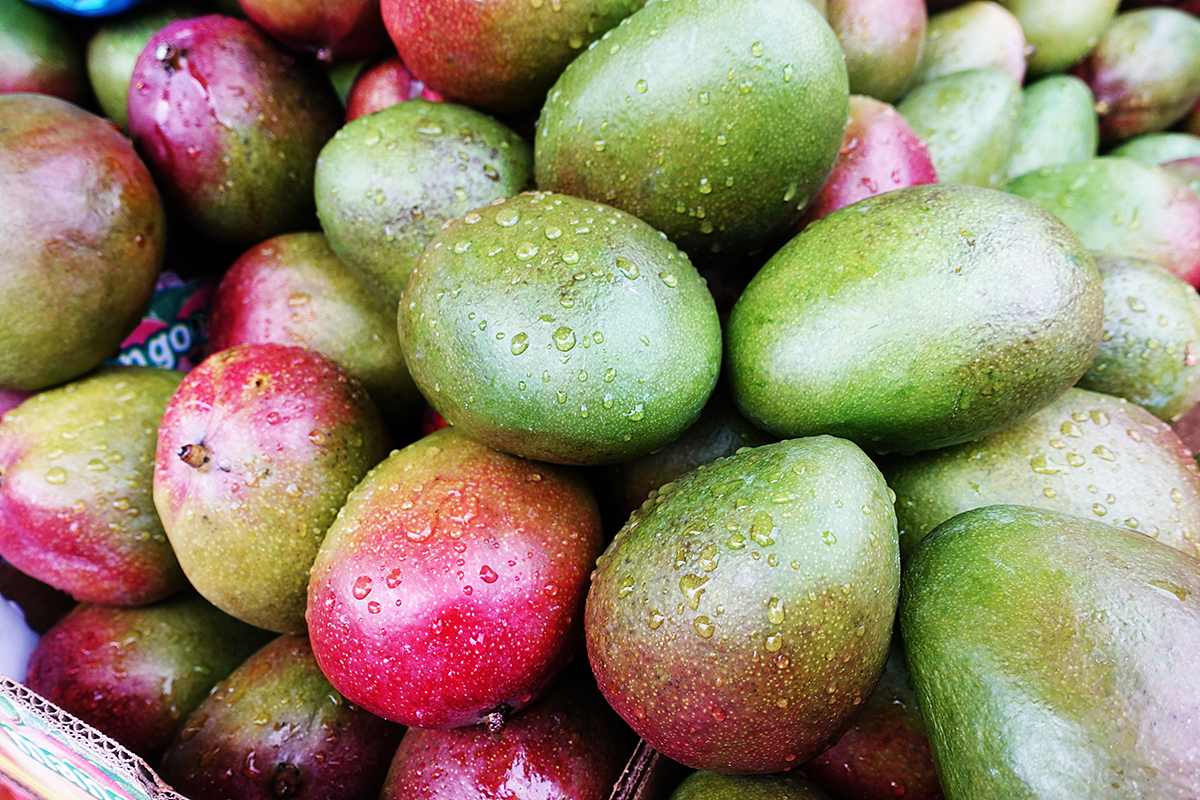 Online sales reshape Bangladesh's Rajshahi mango market