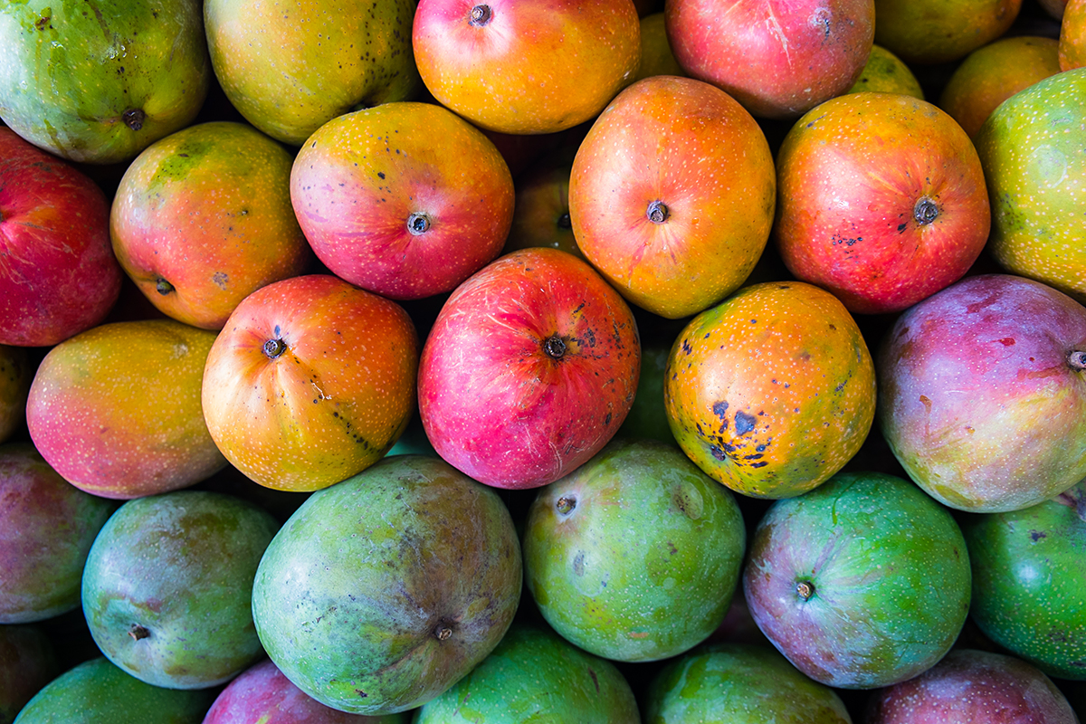 Philippine mangoes enter Italy for first time