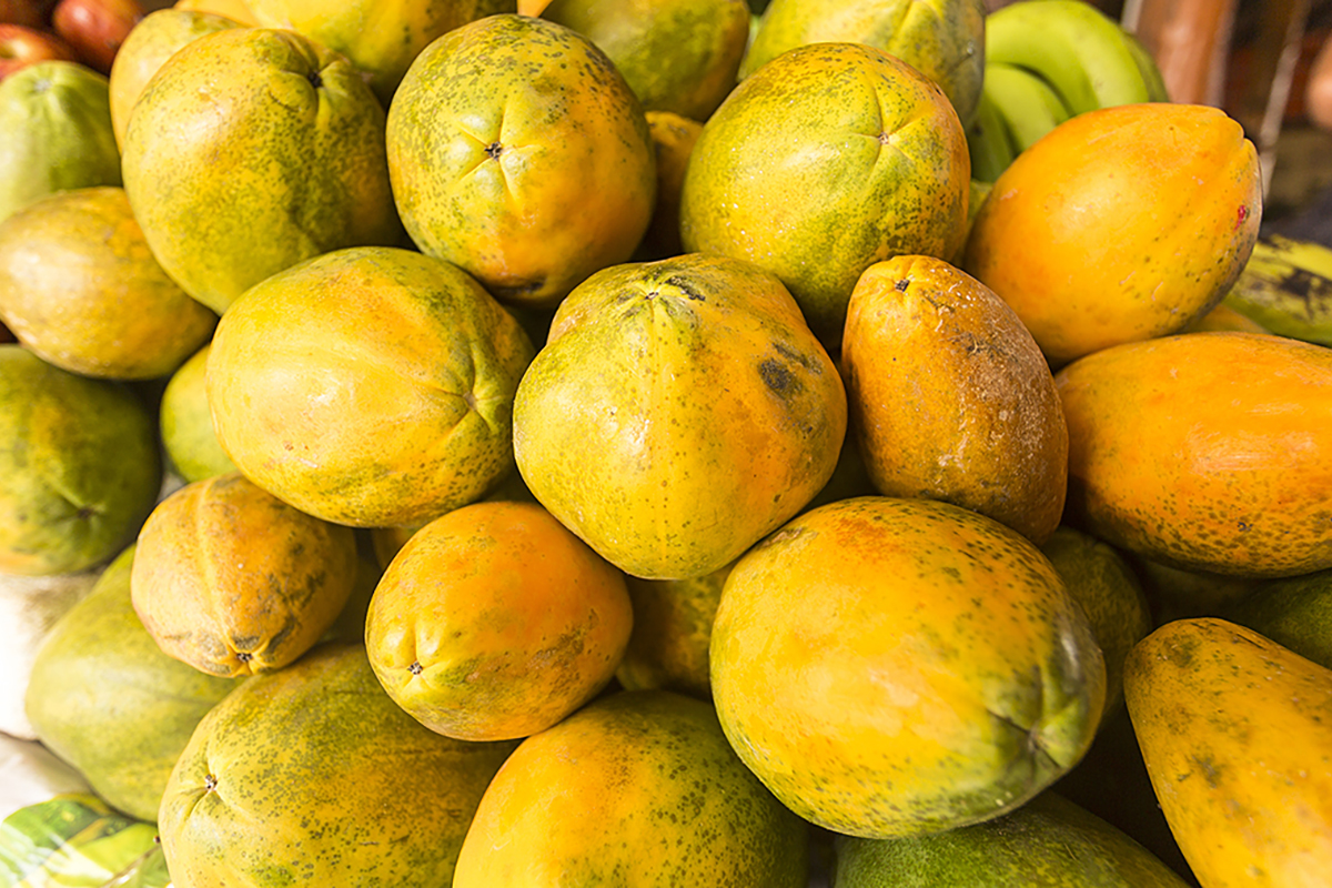 Pakistani mangoes dominate UAE summer market