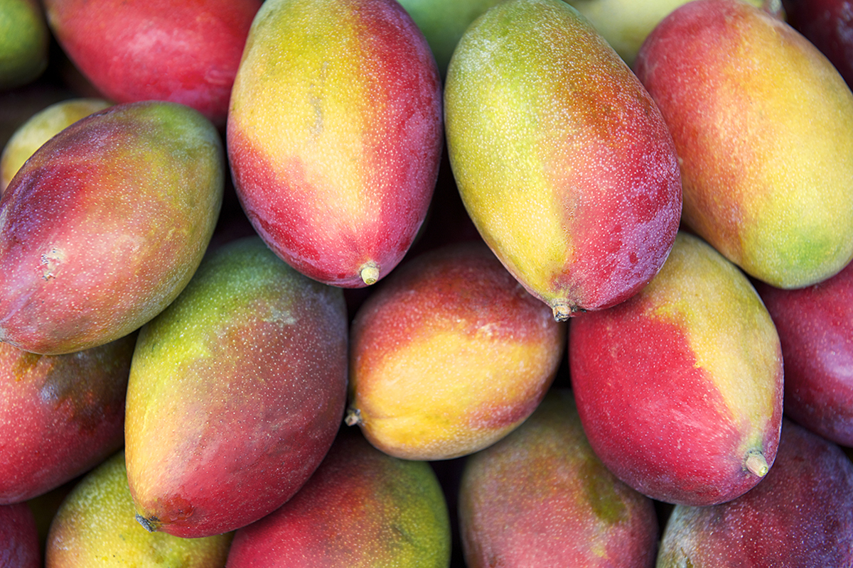 Odisha plans global exports of Dhenkanal mangoes