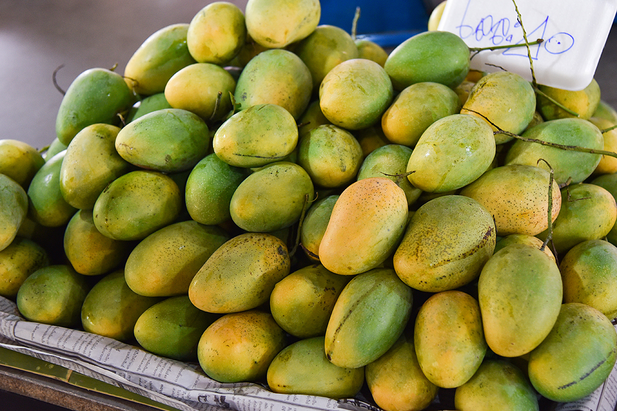 Bangladesh mango exports falter despite strong production