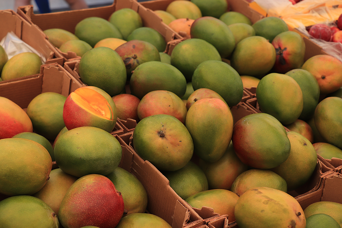 Truckload of suspected Chinese mangoes seized near Indo-Nepal border in ...