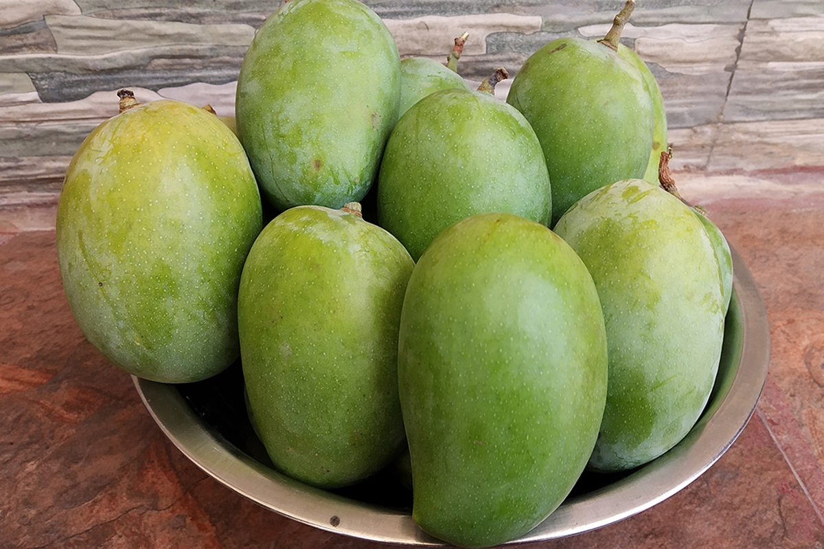 Ghana announces minimum producer price for mangoes