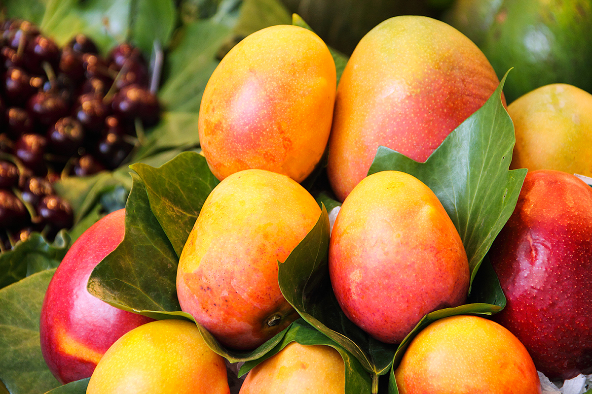 Vietnam's mango prices plunge 80%