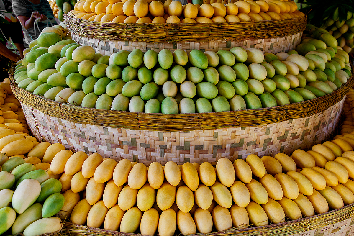 GCC mango festival features 85 varieties and 3,200 tons of imports