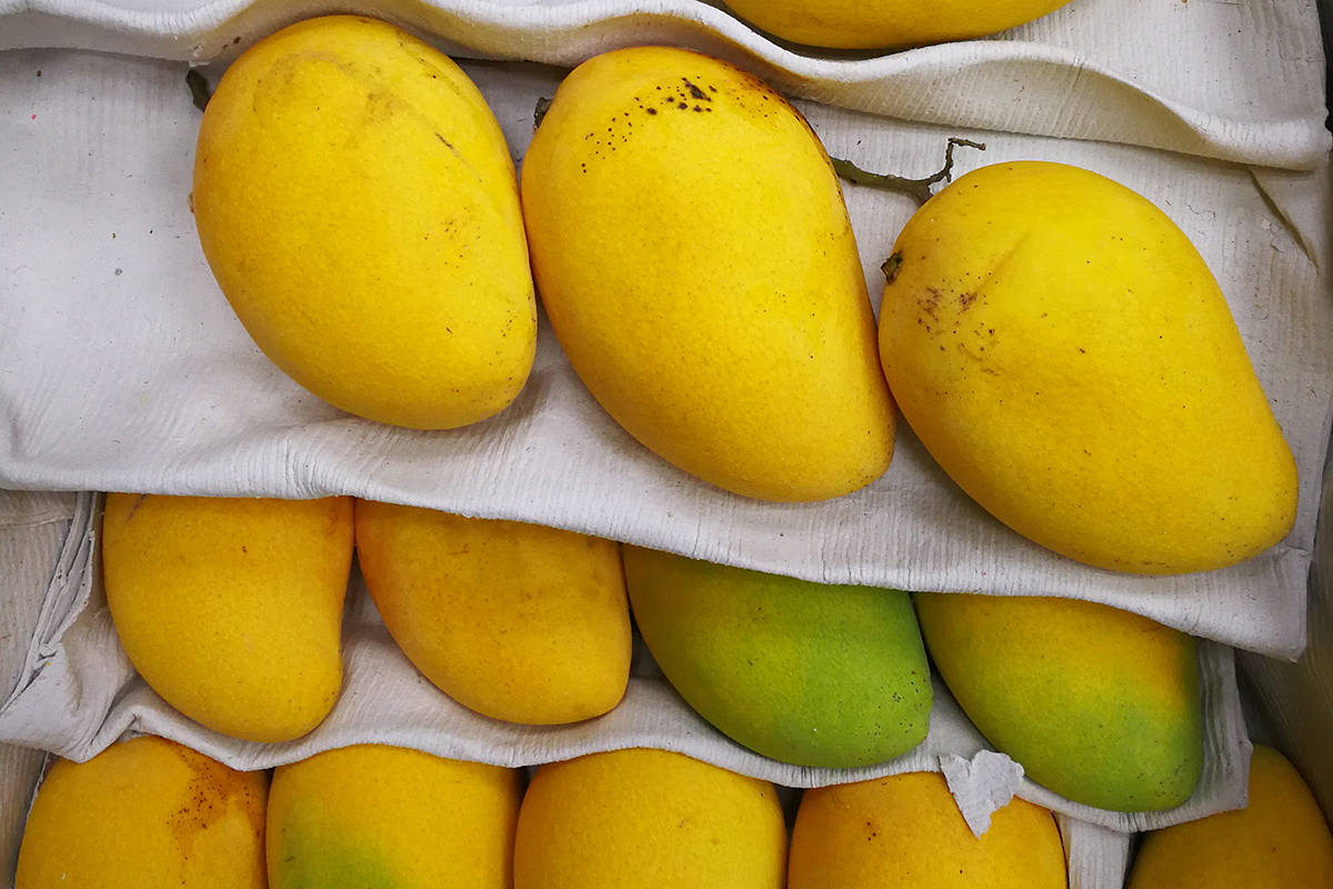 Bangladesh gets approval to export mangoes to China