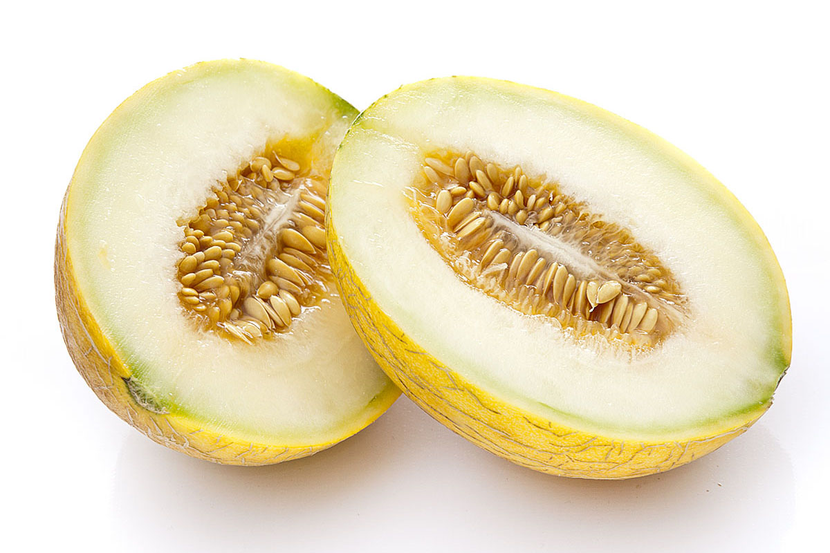 Early melon harvest begins in Surxondaryo: Local sales and exports start