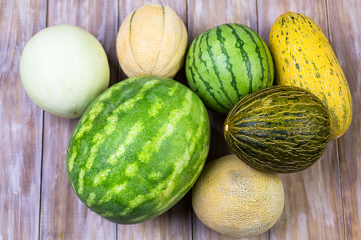 Melon industry expands in California with new acquisition