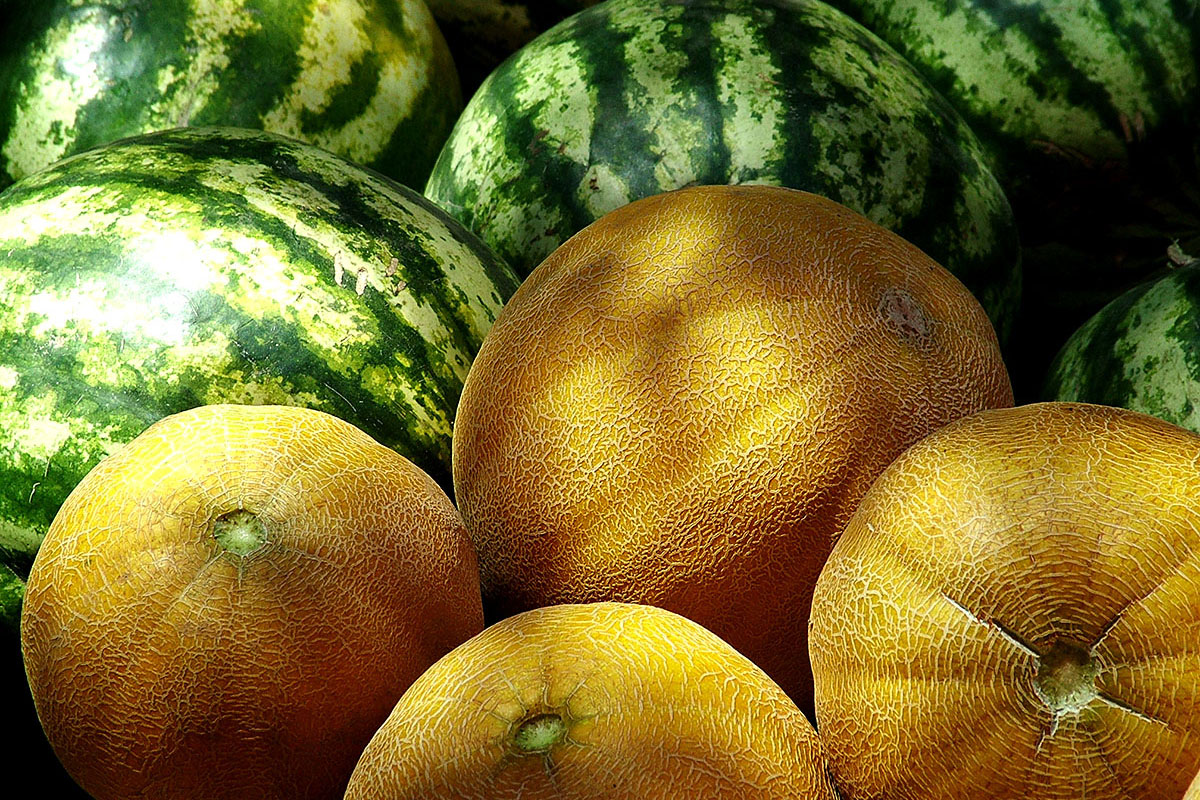 Melon and watermelon production grows by 7.1% in Uzbekistan