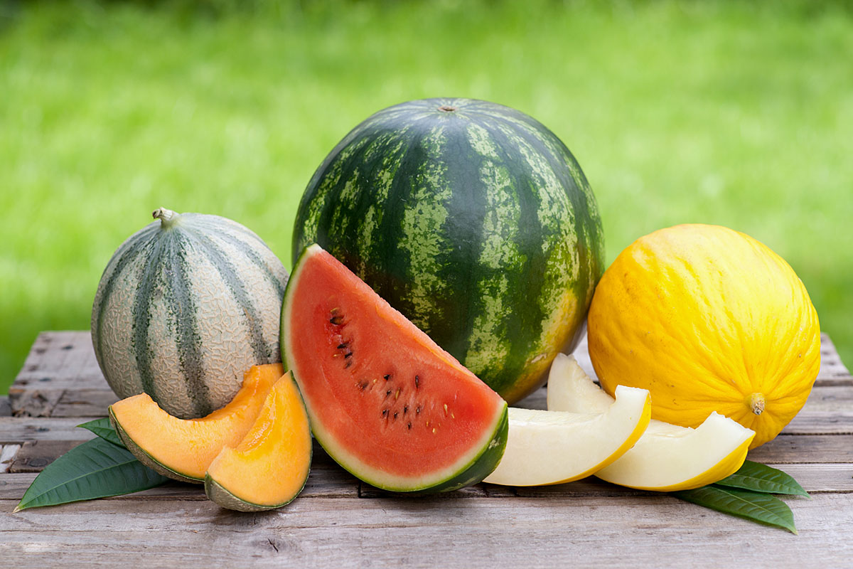 Korean melons enter Vietnam after 17 years