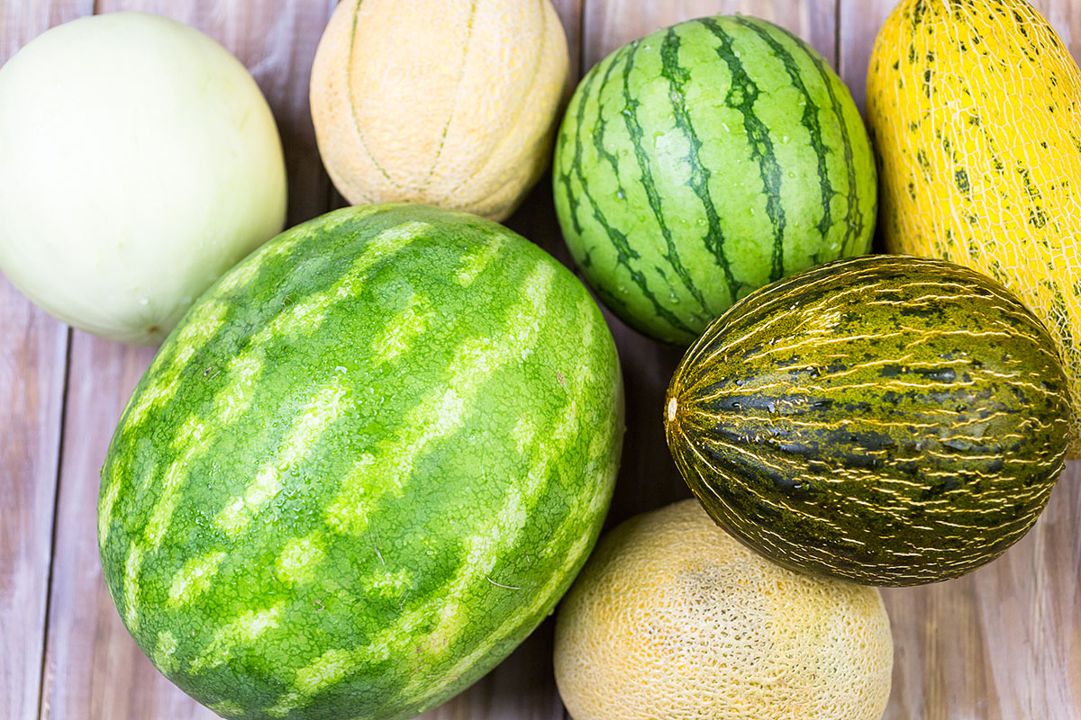 Ukrainian Kherson to double the area for vegetables and melons in 2025