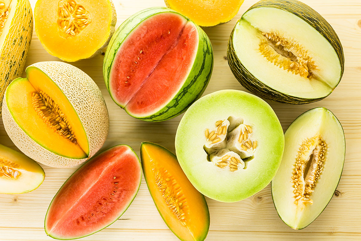 Ministry of Kyrgyzstan provides support for export of melon crop