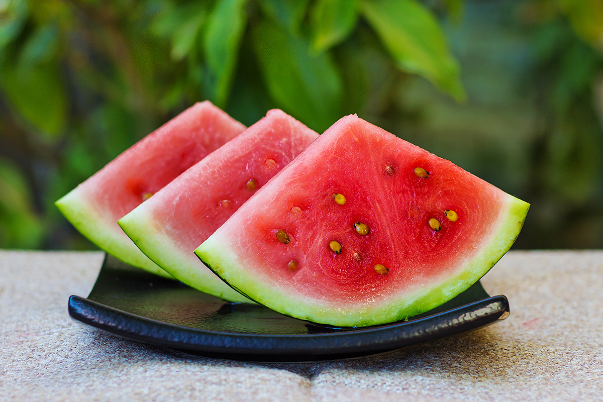 Watermelon farming as a multi-generational endeavor in Florida
