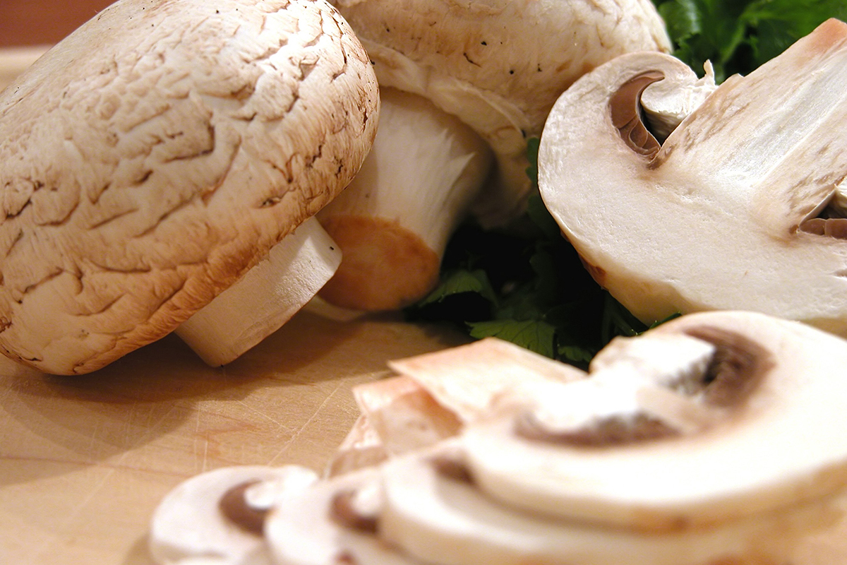 Peat-free mushrooms in sustainability push a first for UK supermarkets