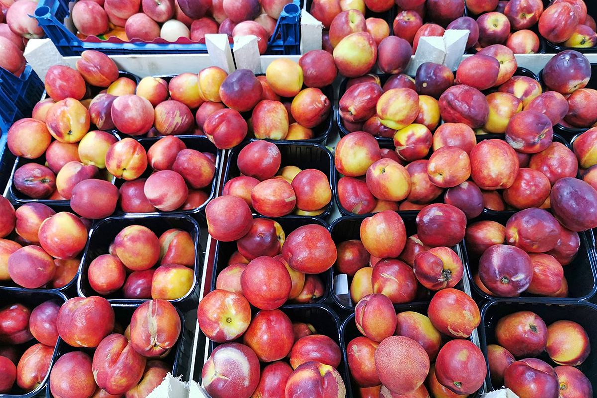 Fire destroys Spanish cooperative just before stone-fruit season begins