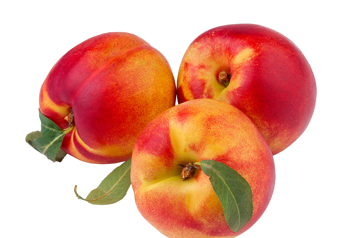 Chile projects an 11% rise in stone fruit exports