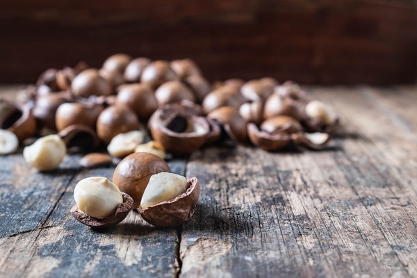 Kenya to begin macadamia harvest March 1 with quality focus