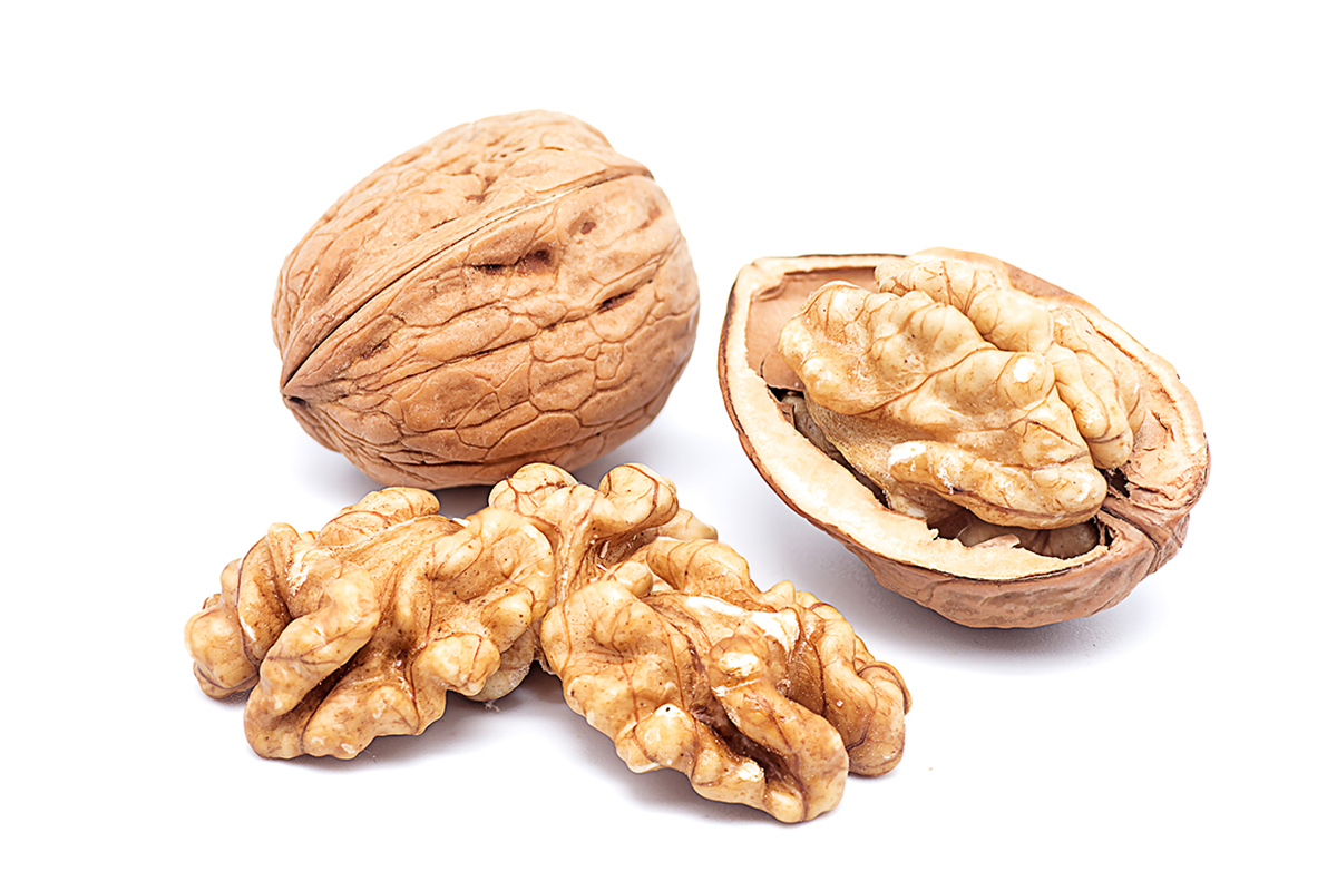 Chilean walnut exports increased by 15% driven by demand from Europe ...