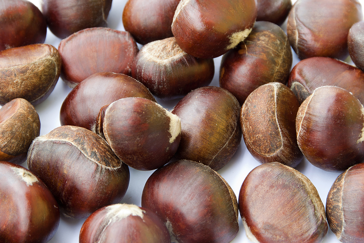 Turkey hazelnut forecast disputed amid frost