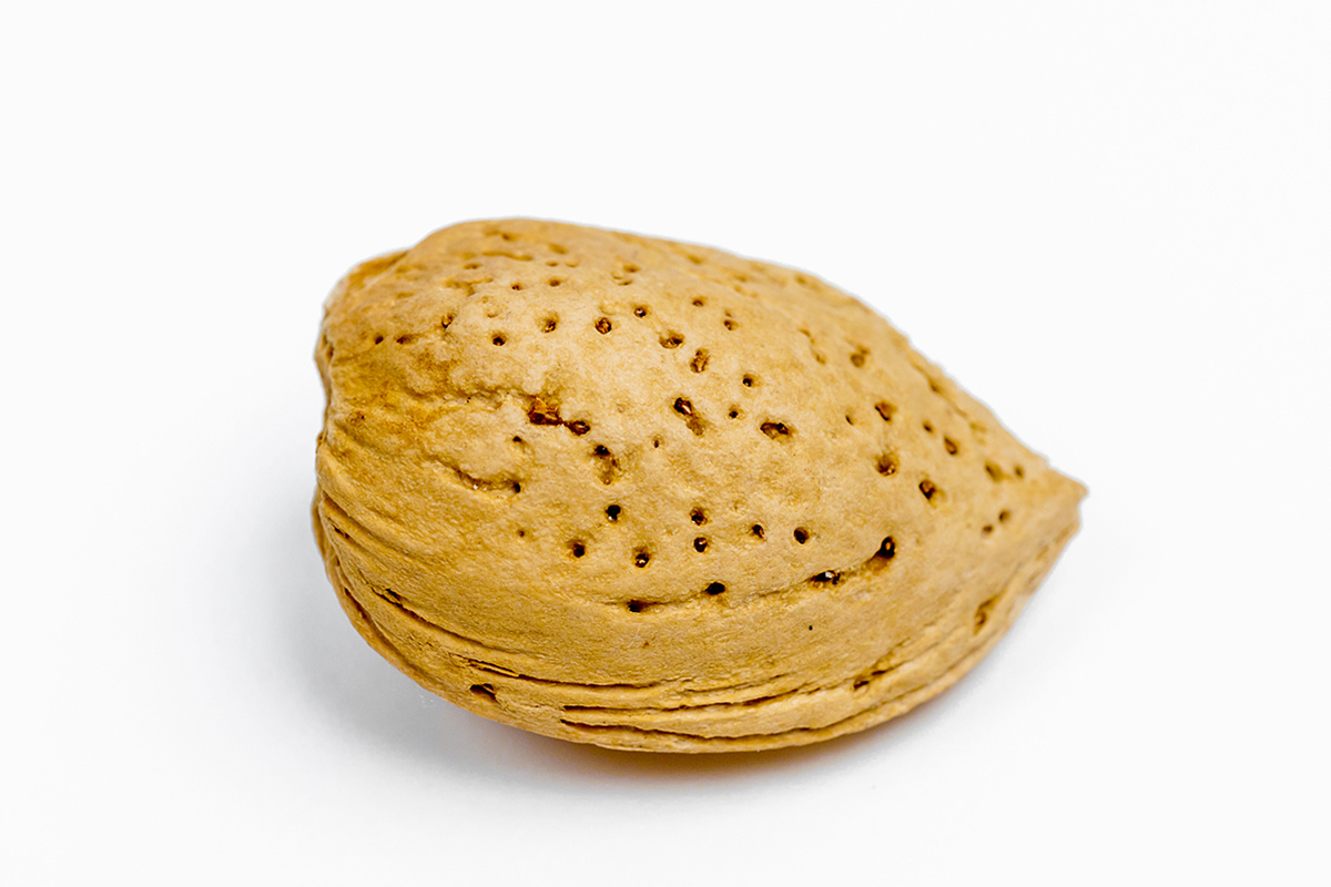 Spain forecasts record-breaking almond in-shell production