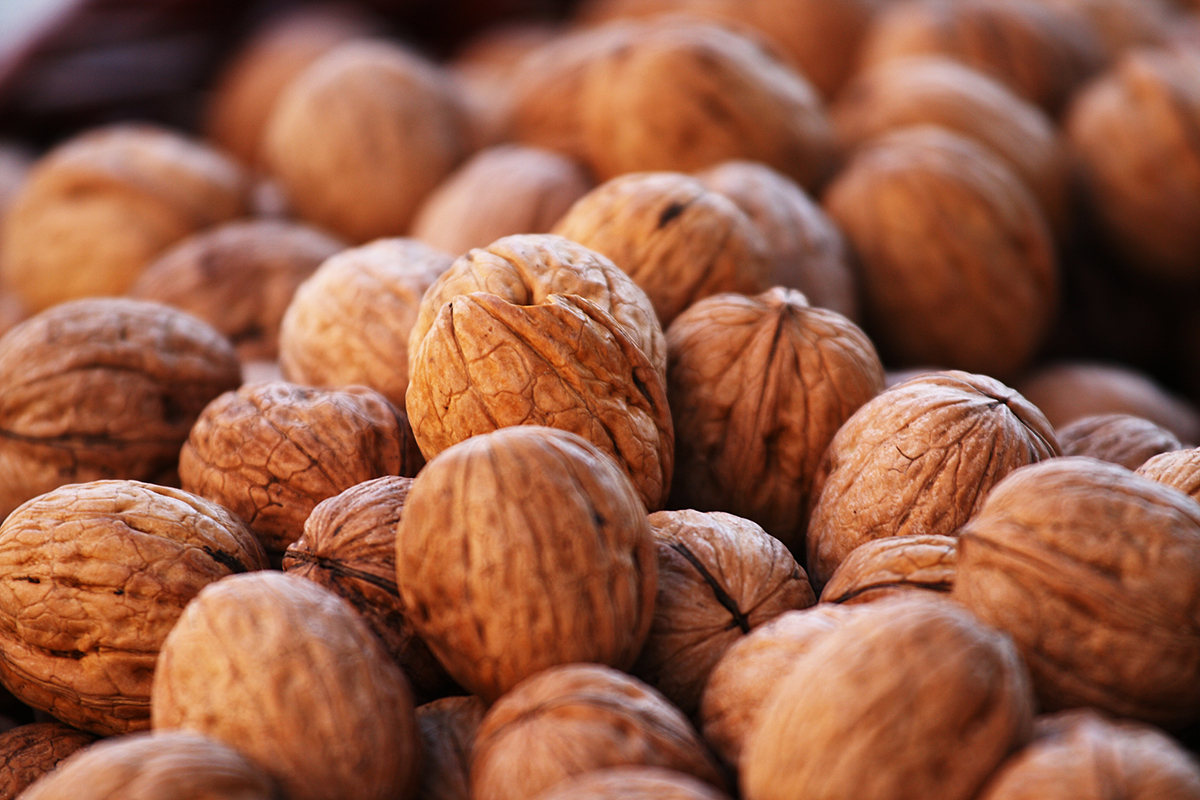 India’s Kashmir walnut growers face market gaps