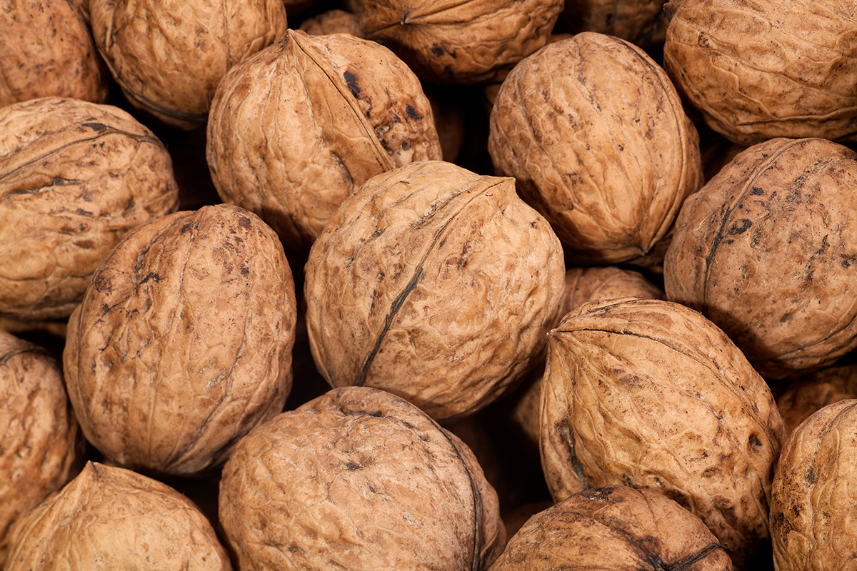 California walnuts will gain boost from India tariff cut