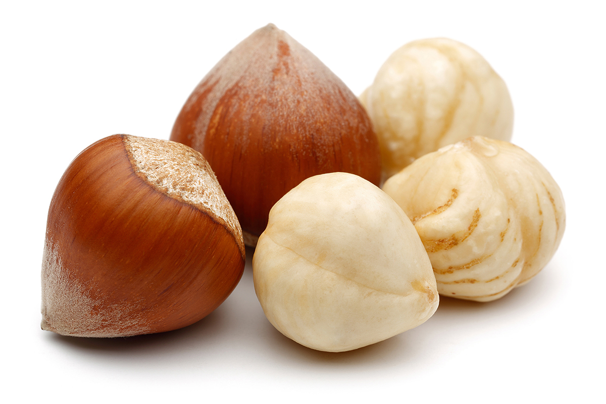 Georgia increases hazelnut export value in April 2026
