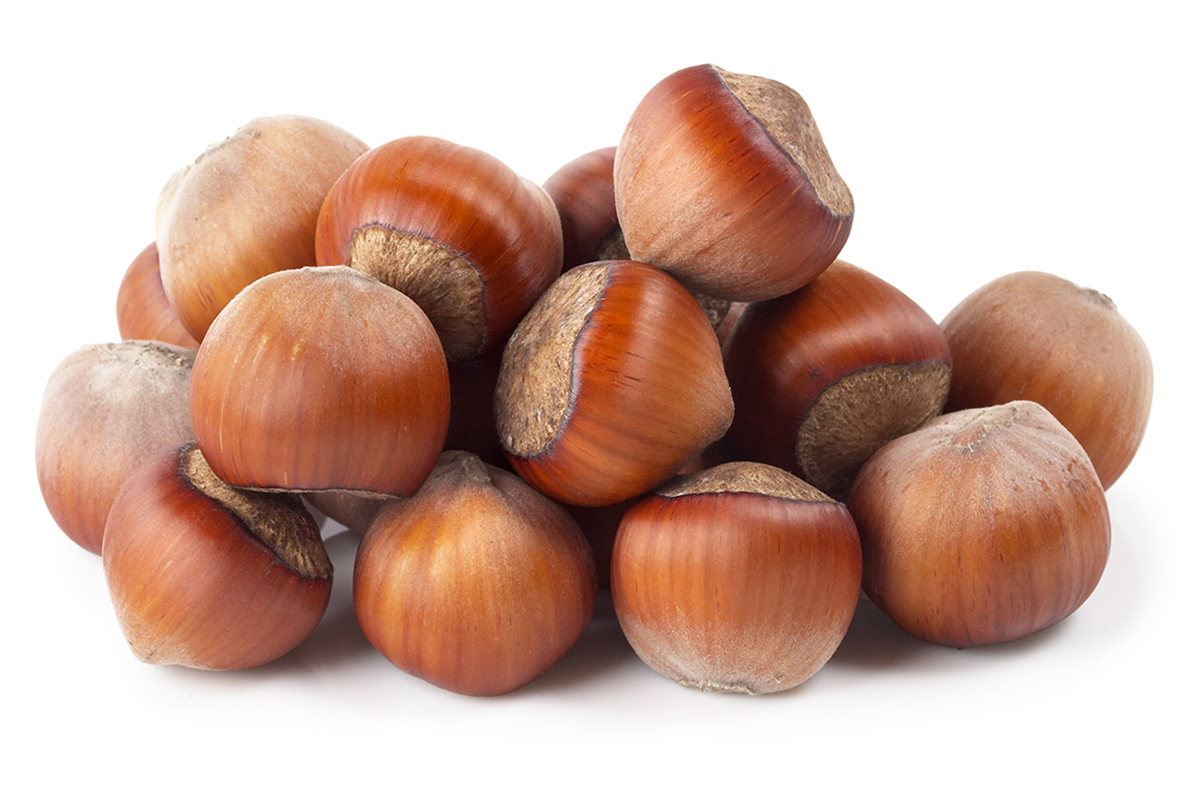 Turkey forecasts 36% y-o-y drop in hazelnut crop