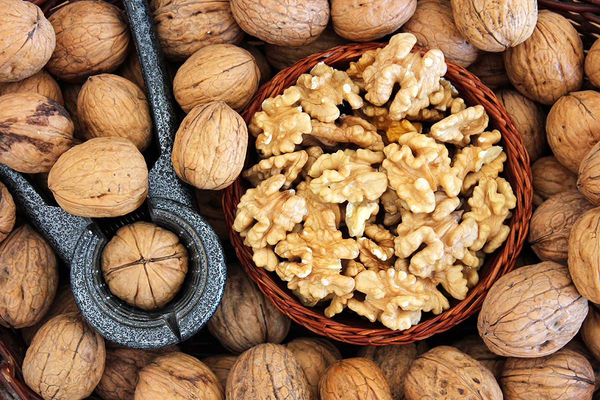 California walnut harvest aligns with 710,000-ton forecast