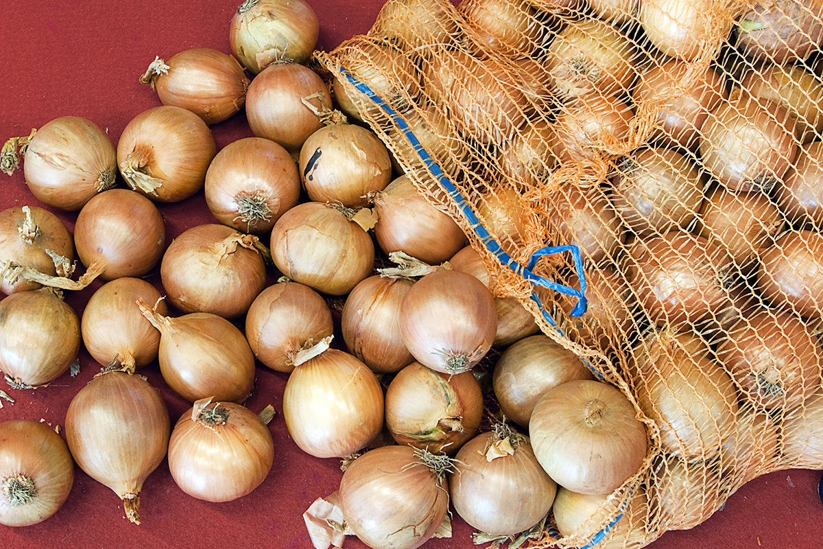 Ukraine experiences 16 percent rise in onion prices