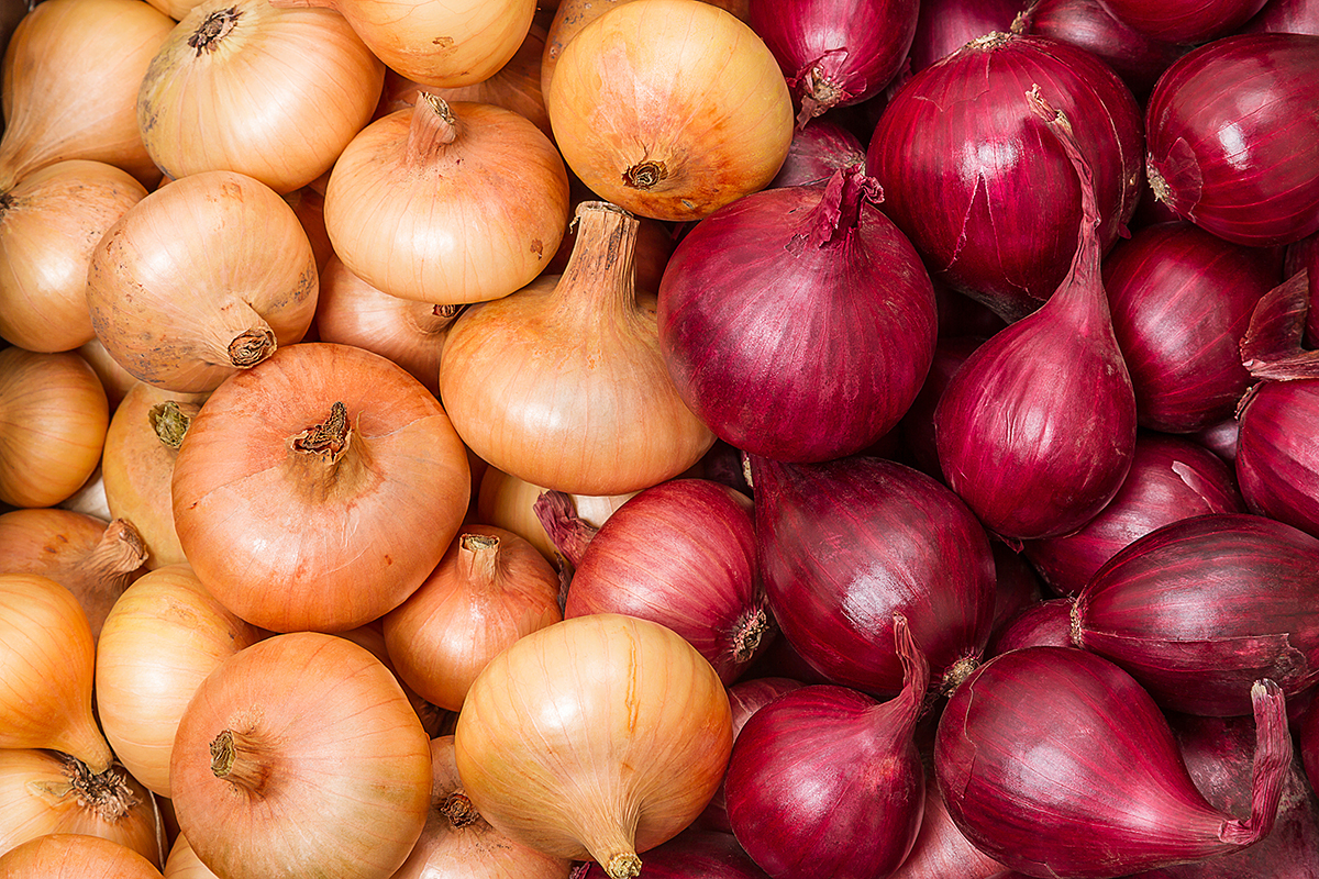 Pakistan undercuts India in onion market at $170/ton