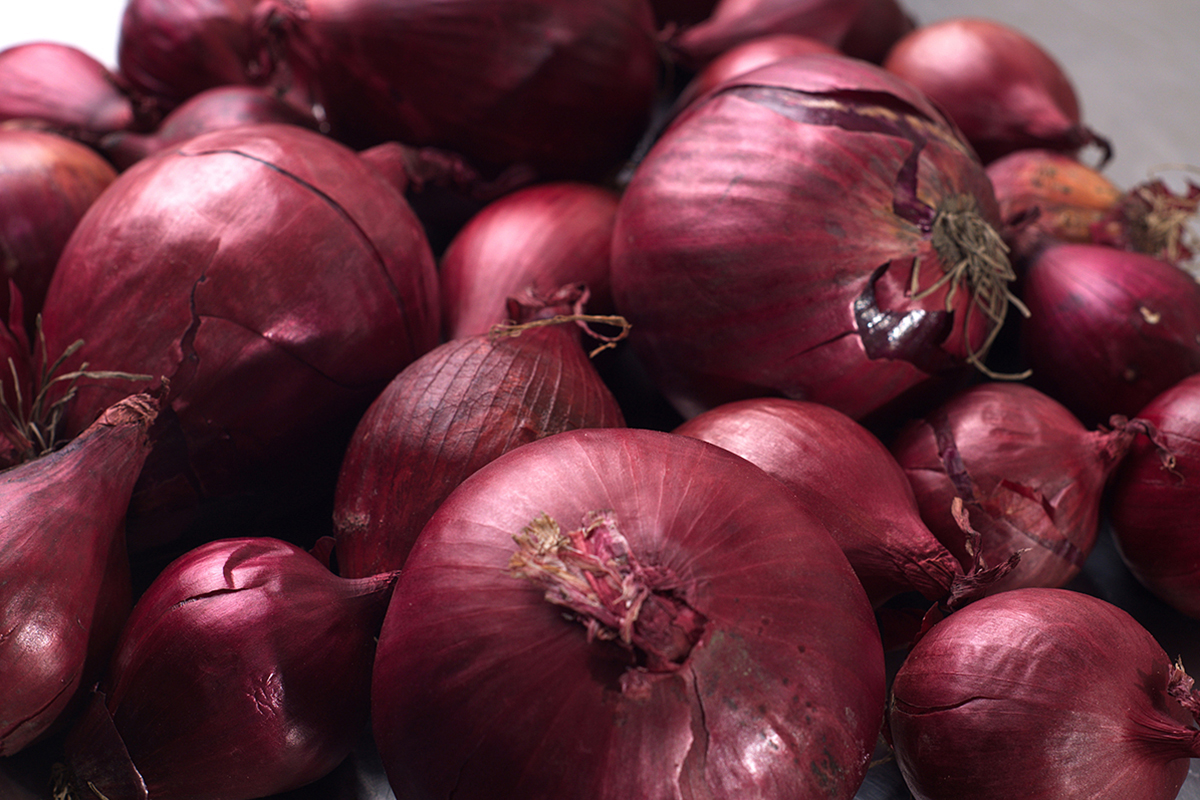Officials set up red onion cultivation project in Perak Tengah