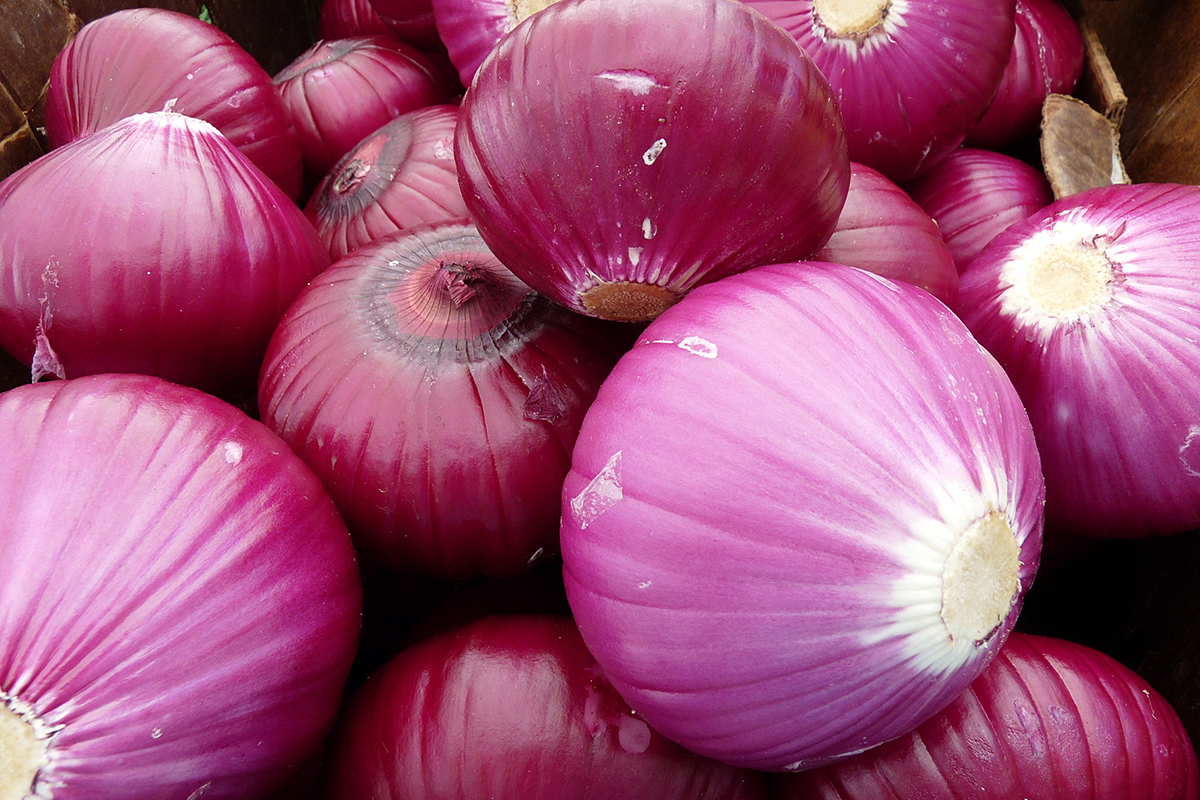 Philippines expects red onion prices to ease as imports rise