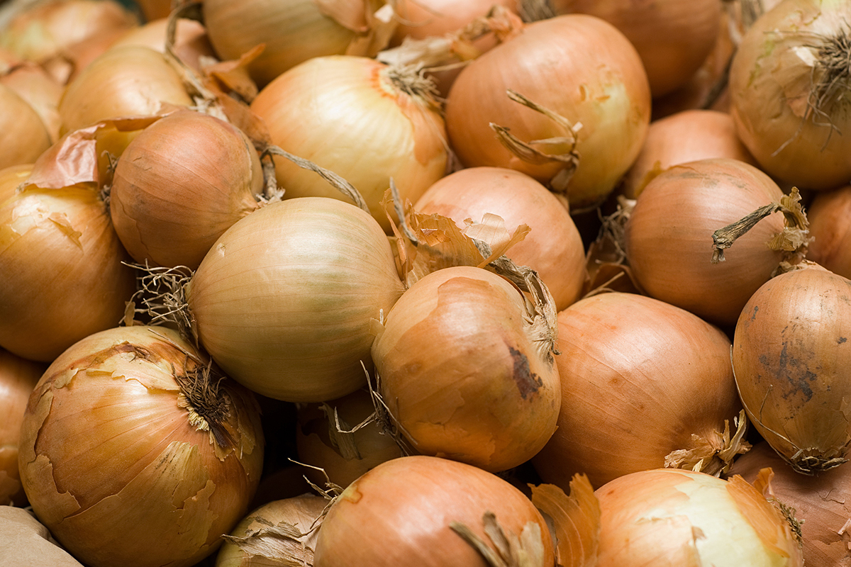 Brazil’s onion imports surge with unstable market