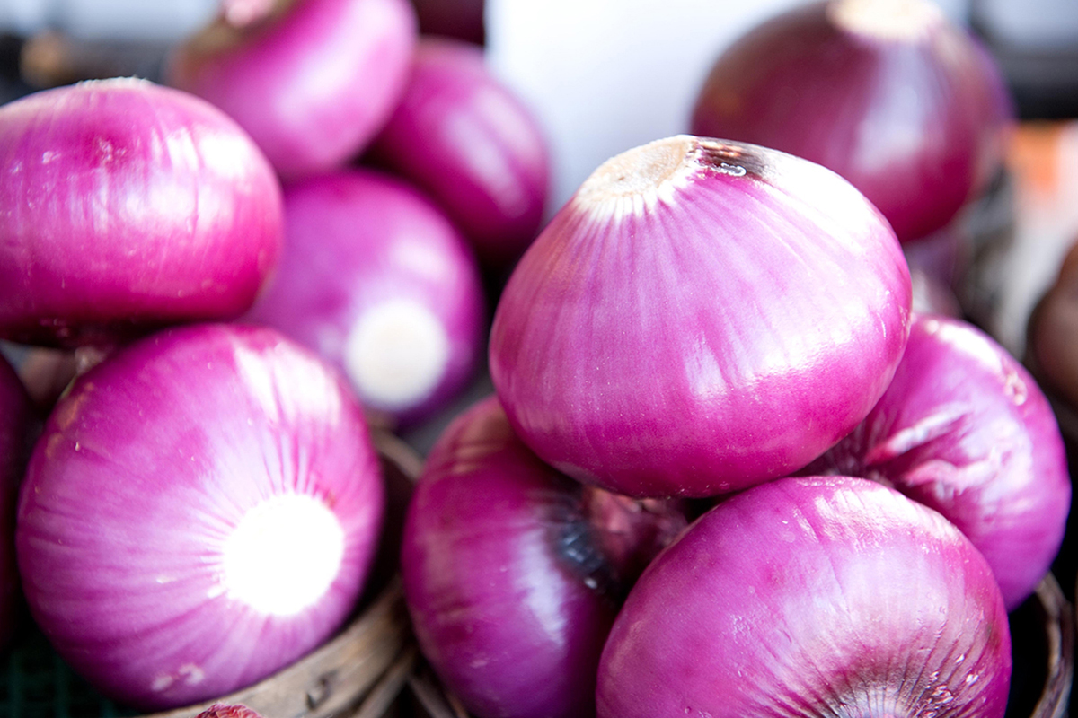 Pakistan: Onion exports have exceeded $210 million for the first time