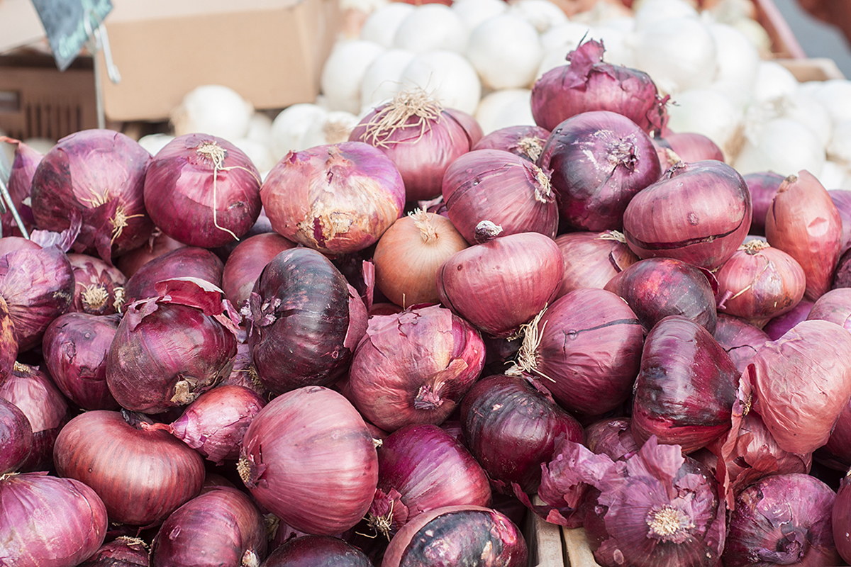 Indian summer onion output in Nashik projected to fall 29%