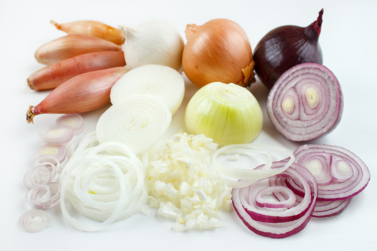 Kazakhstan takes steps to develop its onion processing industry